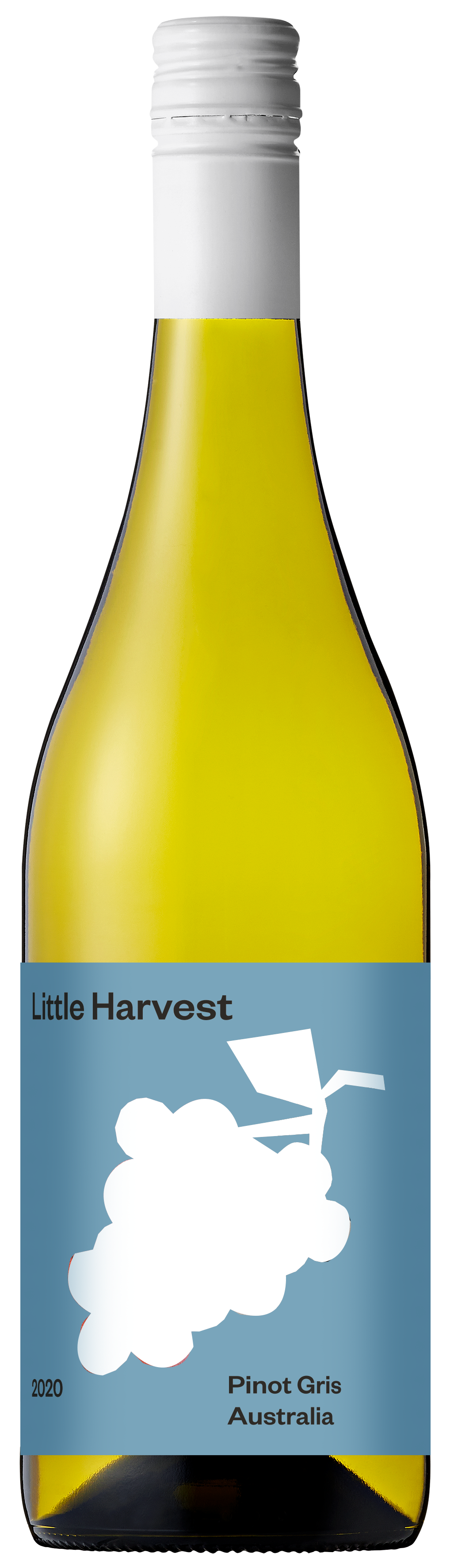 Pinot Gris | Liquorland